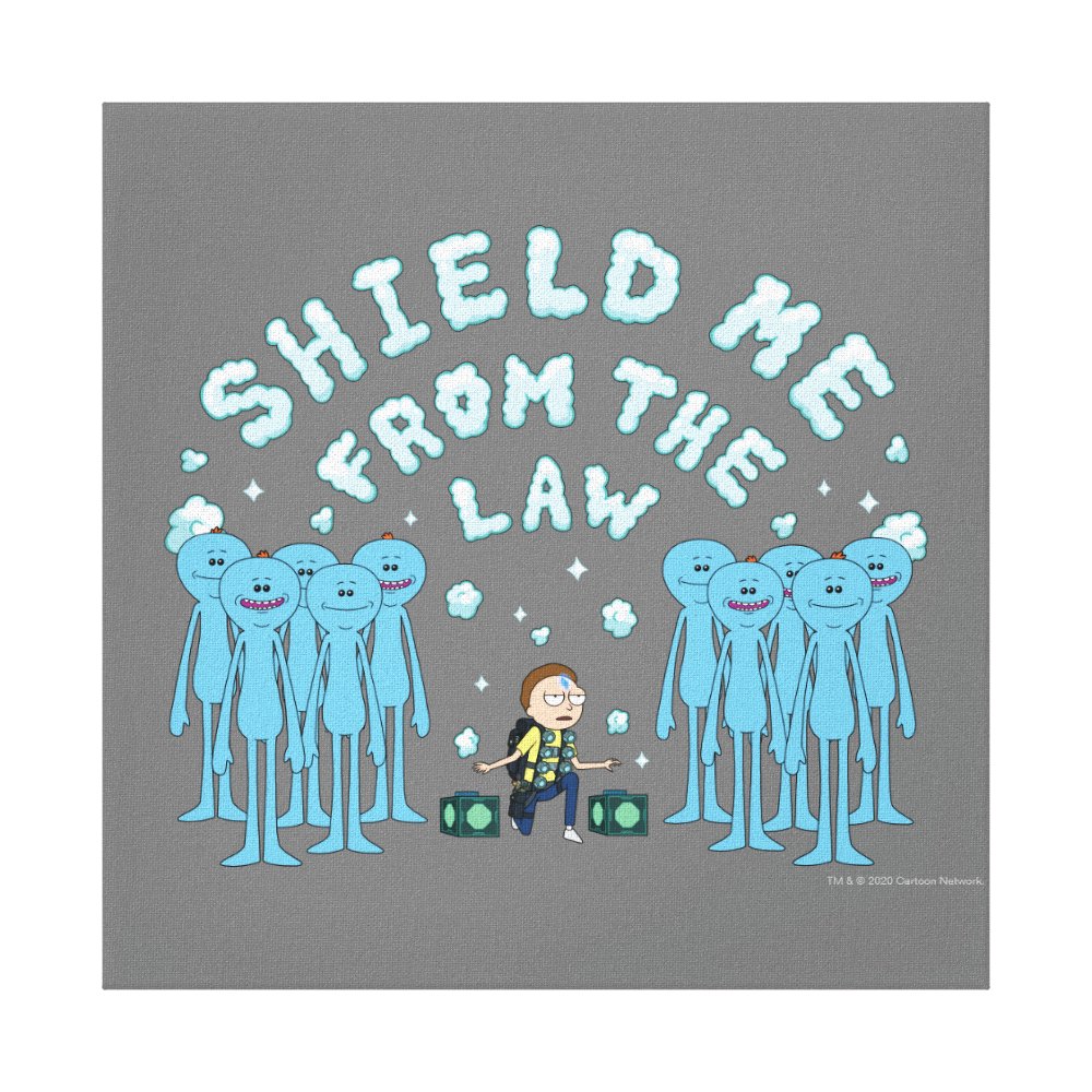Rick and Morty Shield Me From The Law Poster - Rick and Morty Shop